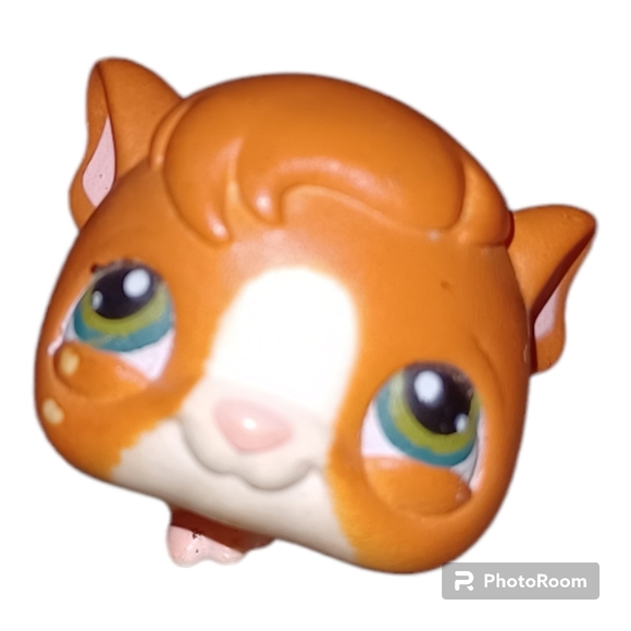 Hasbro | Toys | Littlest Pet Shop 4 Guinea Pig Orange White Rodent Red ...